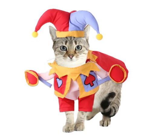 Dog & Cat Dress Up Costume - Jester Design – Umlozi International