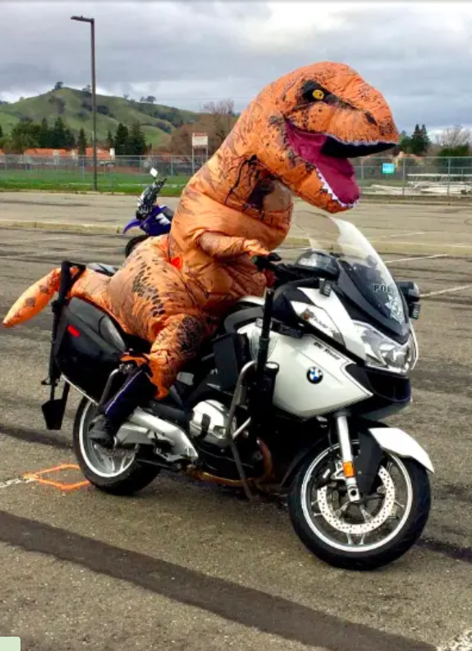 Dinosaur T-Rex Full Suit With Automatic Battery Air Inflator – Umlozi ...