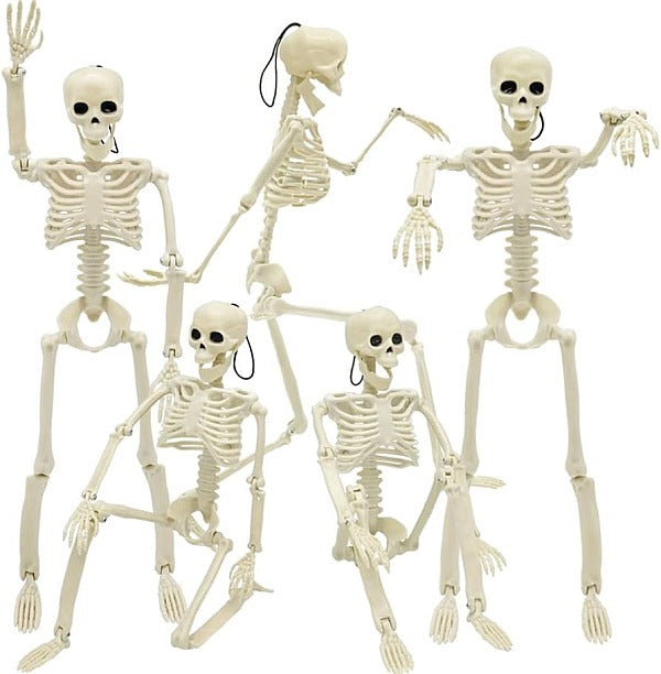 Halloween Skeleton - Plastic Adjustable Skeleton – Umlozi International